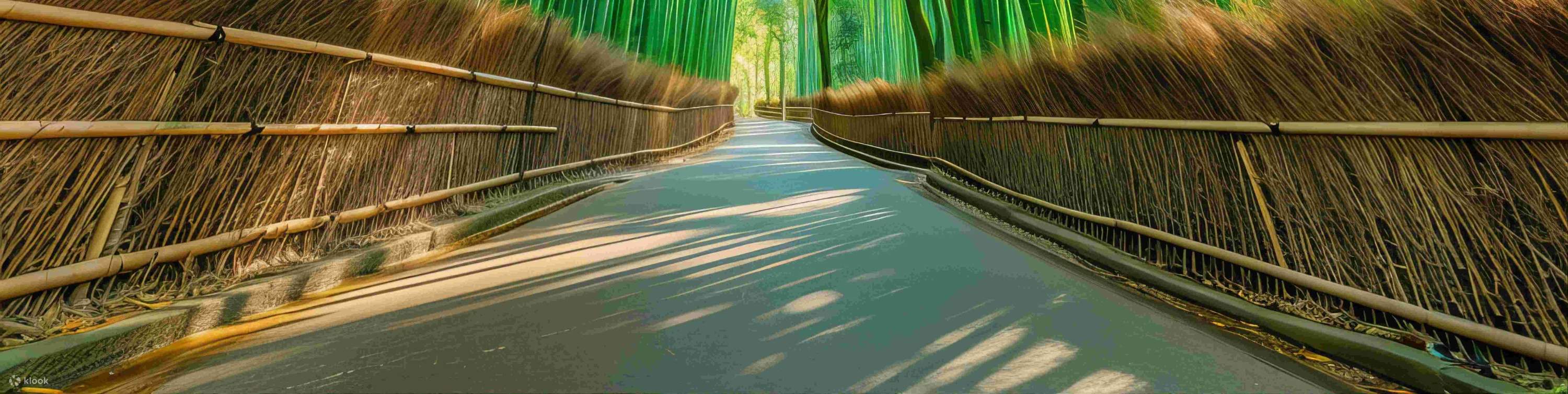 [Kyoto Nara Arashiyama Sagano Scenic Railway Cherry Blossom One-Day Tour] Hotel Pick-up ...